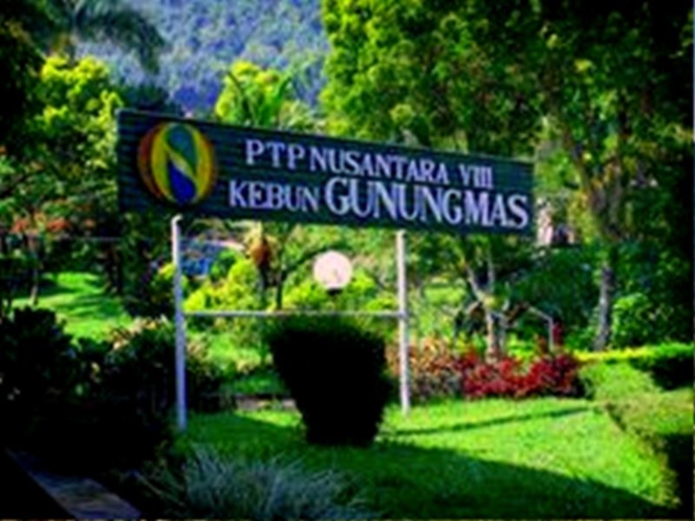 Agrowisata Gunung Mas Puncak Bogor - Surga Tersembunyi