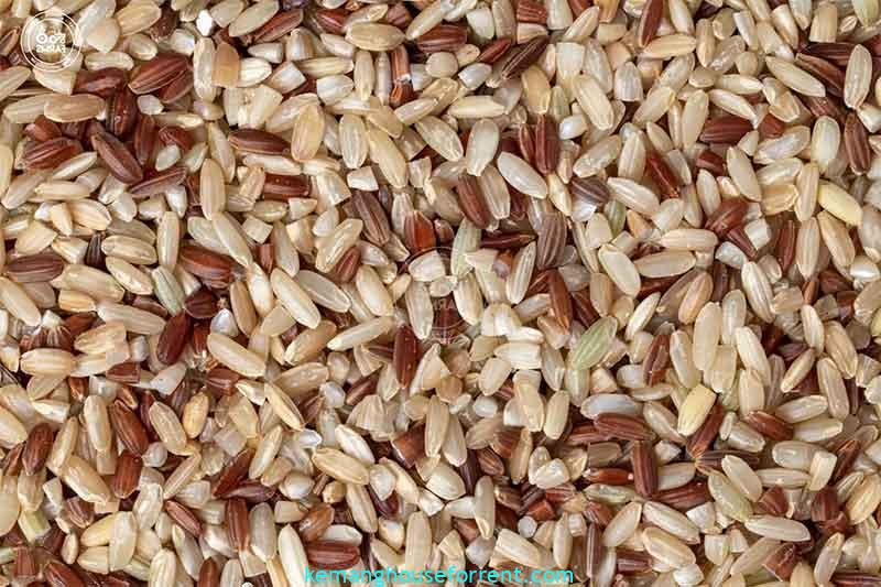 10 Unpolished Rice Benefits You Should Know - Kemang House for Rent